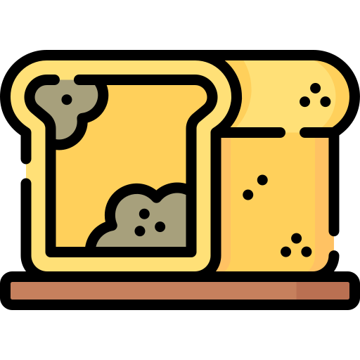 Mitos e verdades sobre bolores - Consultoria Mult